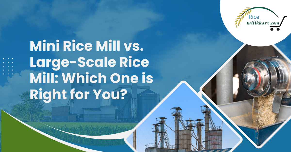 Mini Rice Mill vs. large scale Rice Mill: Which One is Right for You ...